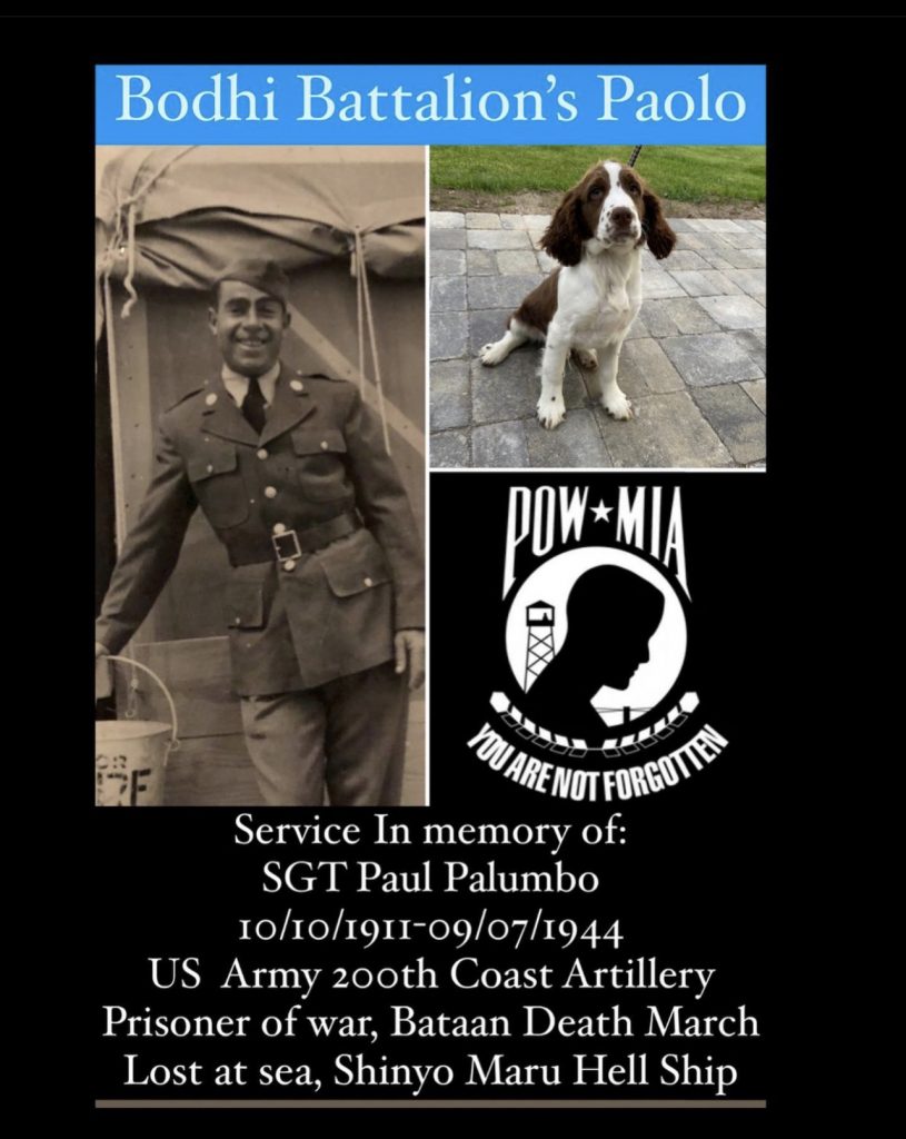 Dogs – Bodhi Battalion